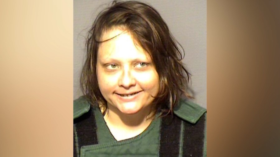 Erie Co. woman to serve decades long sentence for murder, dismemberment ...