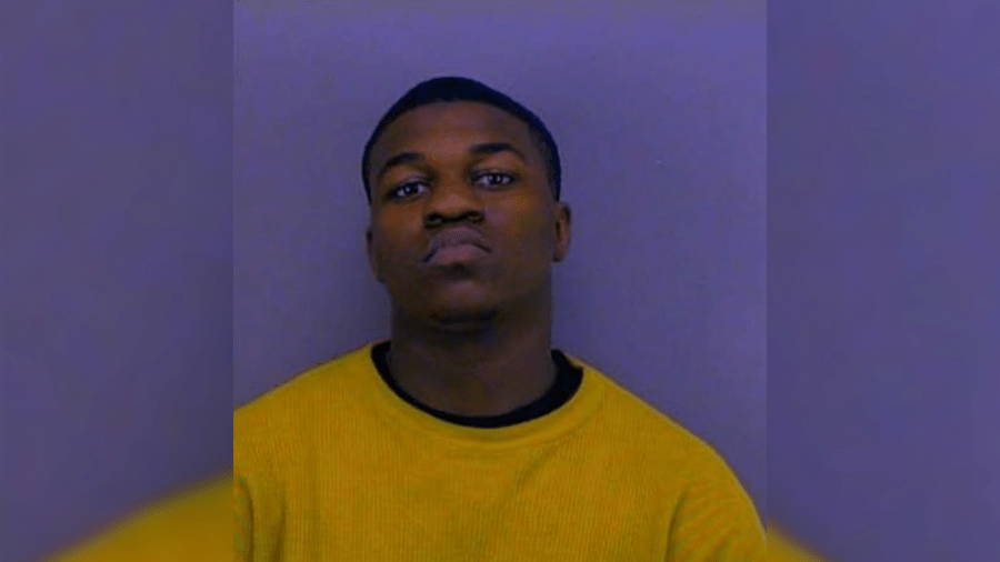 Man with schizophrenia gets 30 years in prison for murdering brother in ...