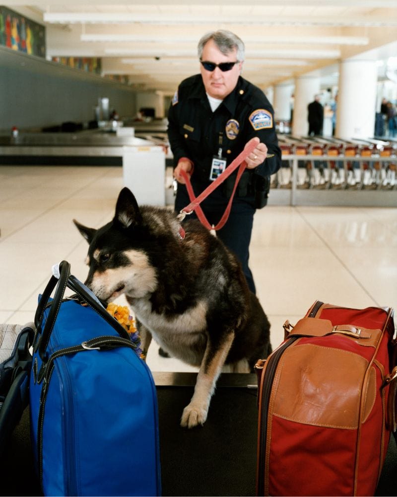 So this is what really happens to your belongings after TSA confiscates ...
