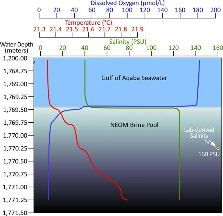 Deep Beneath the Red Sea, Scientists Discover a Toxic ‘Ocean Within an ...