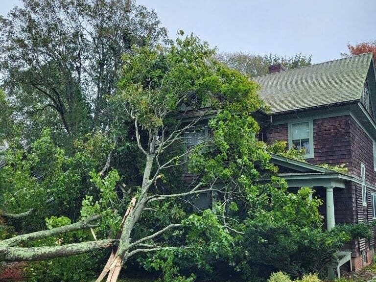 Tree Falls On Bridgehampton House; Fire In Hamptons Bays: How ...