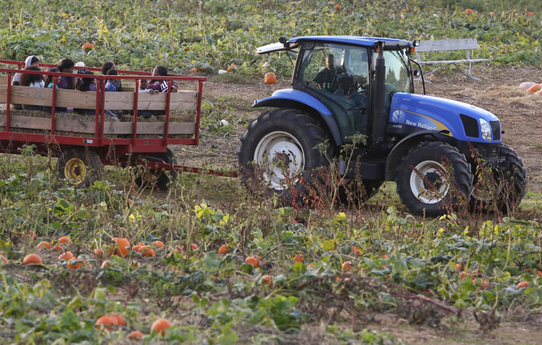 Delaware family farmers who make fresh, budget friendly food available ...