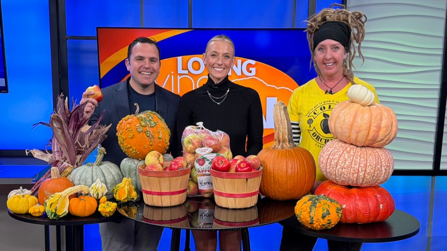 Celebrate fall at Colon Orchards with pumpkins, apples, and more