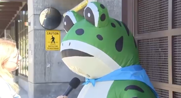 Here's Why ICE Protests Are Suddenly Full Of Inflatable Frogs (And What ...