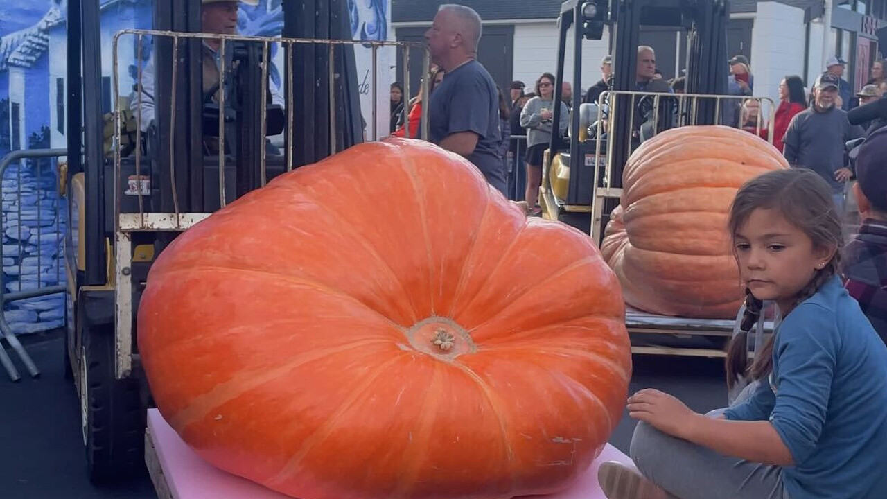Half Moon Bay Pumpkin Weigh-Off marks start of arts & pumpkin festival