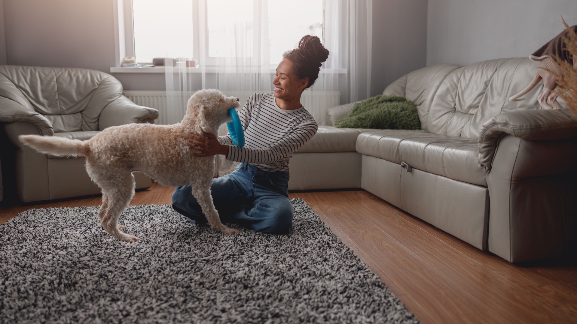 Your Dog Will Love You Even More If You Do These 8 Things