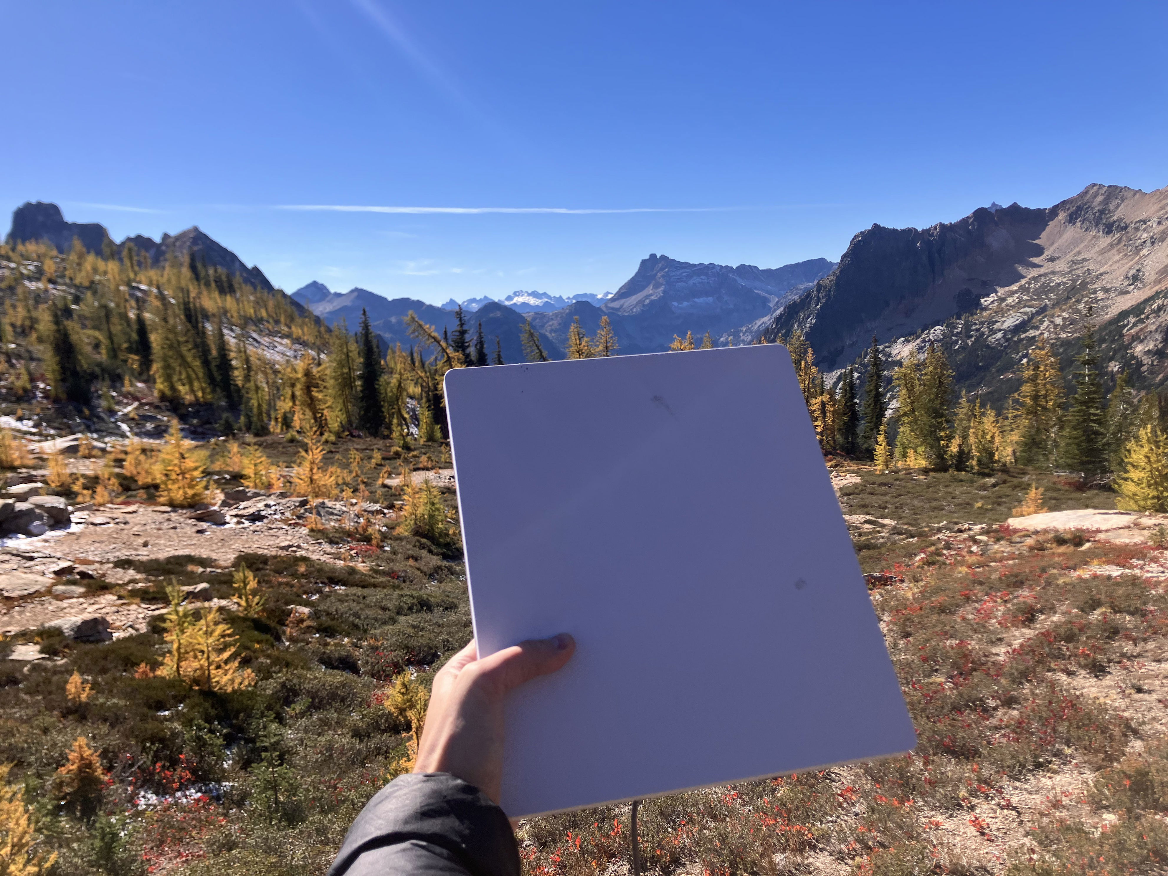 Starlink Mini in the Wild: The Pros and Cons of Satellite Internet ...