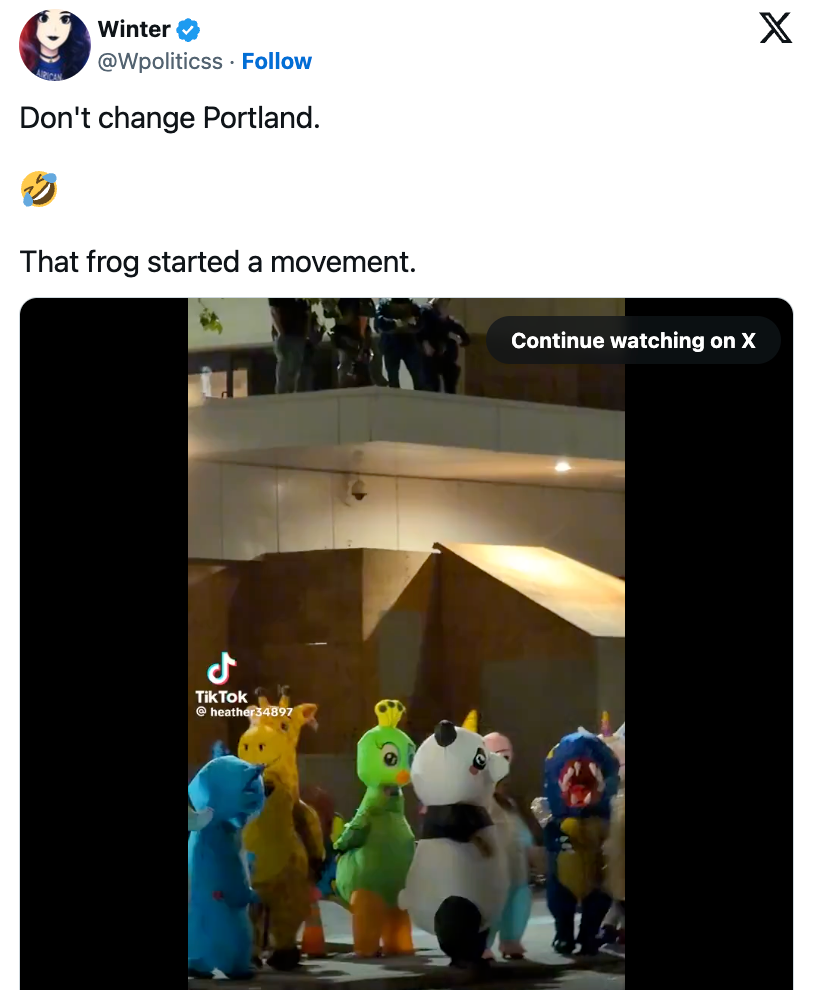Here's Why ICE Protests Are Suddenly Full Of Inflatable Frogs (And What ...