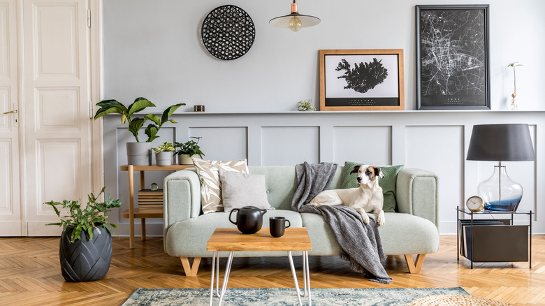 Common Mistakes People Make When Following Design Trends