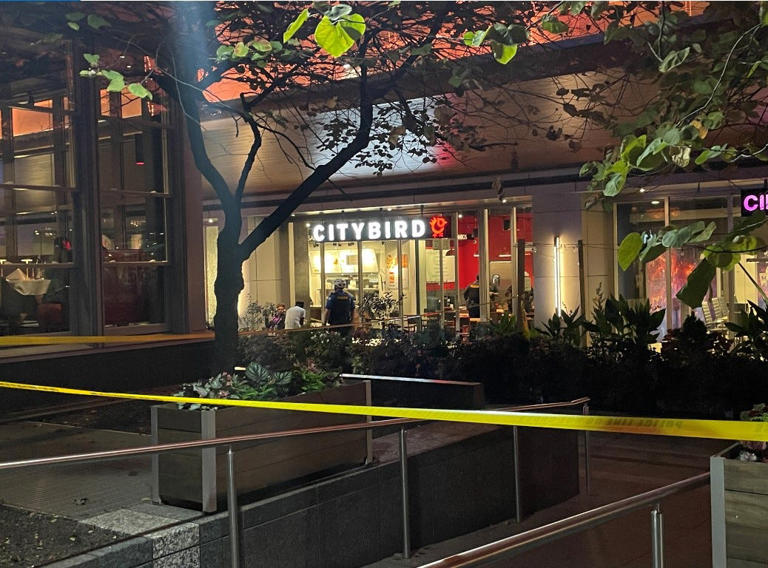 Teen seen on video burying gun was arrested after Fountain Square ...
