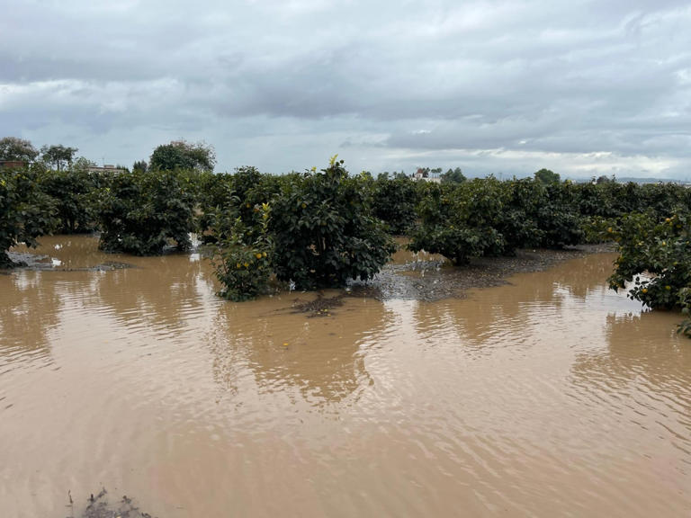 GAC confirms three Australian launch models