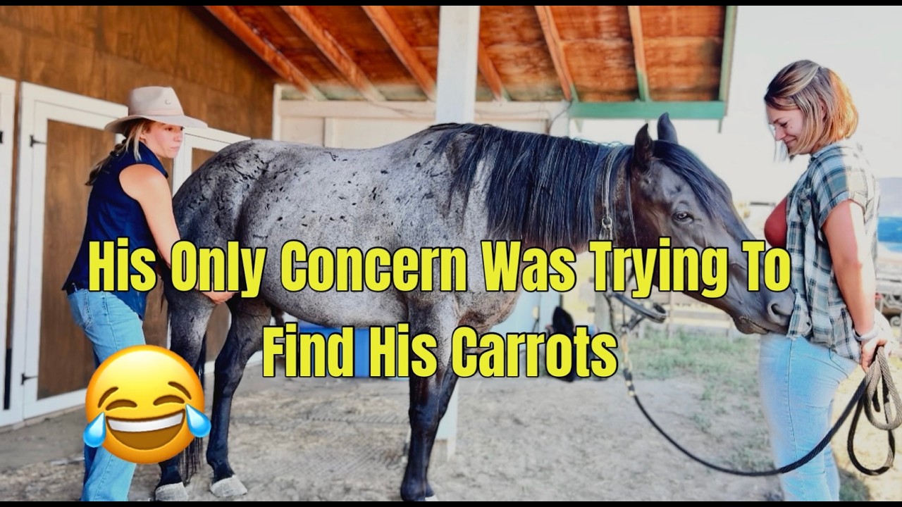 I Can’t Believe Rudnik’s Incredible Reaction To His First Body Work ...