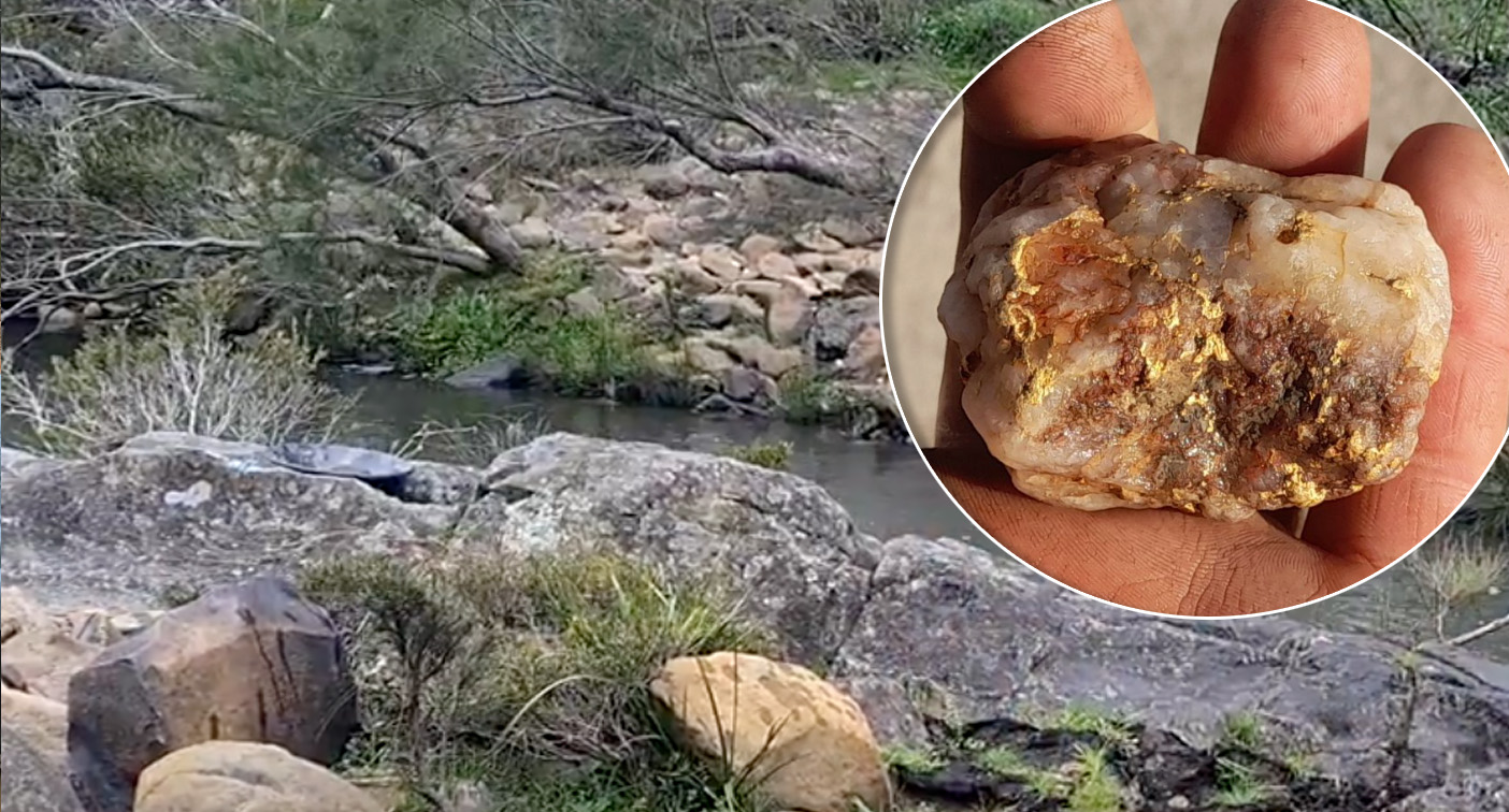 Remarkable $9,000 discovery in bush highlights gold 'frenzy' hitting Australia