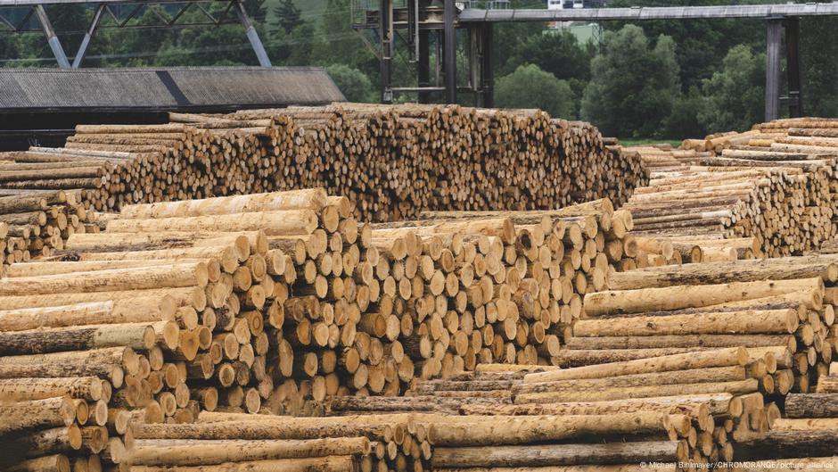 Trump tariffs on timber, furniture go into force