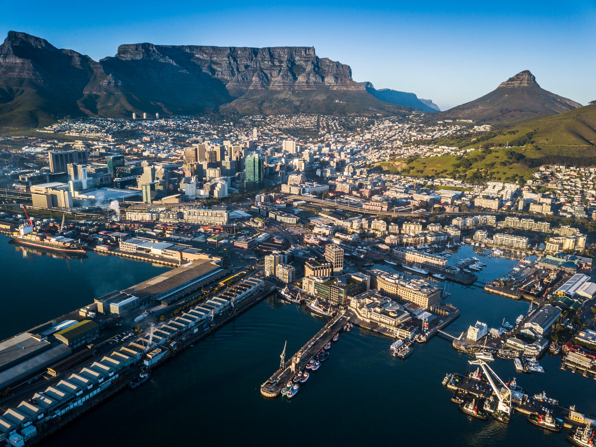 Cape Town port delays cost fruit exporters millions