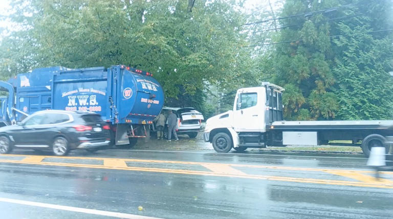 Alec Baldwin blames garbage truck ‘size of a whale’ and ‘big fat tree ...