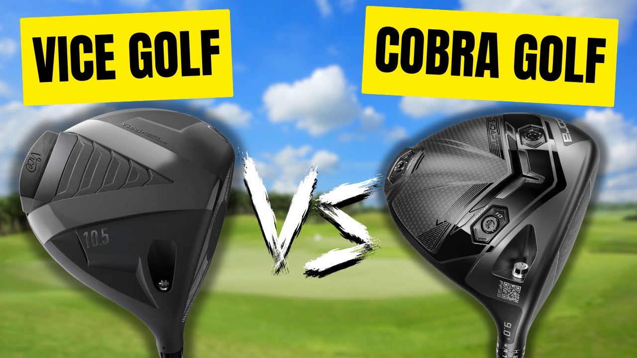 Premium Vs Budget Drivers: Does The Price Make A Difference