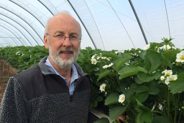 Colchester fruit farm 'could stop production' if council rejects ...