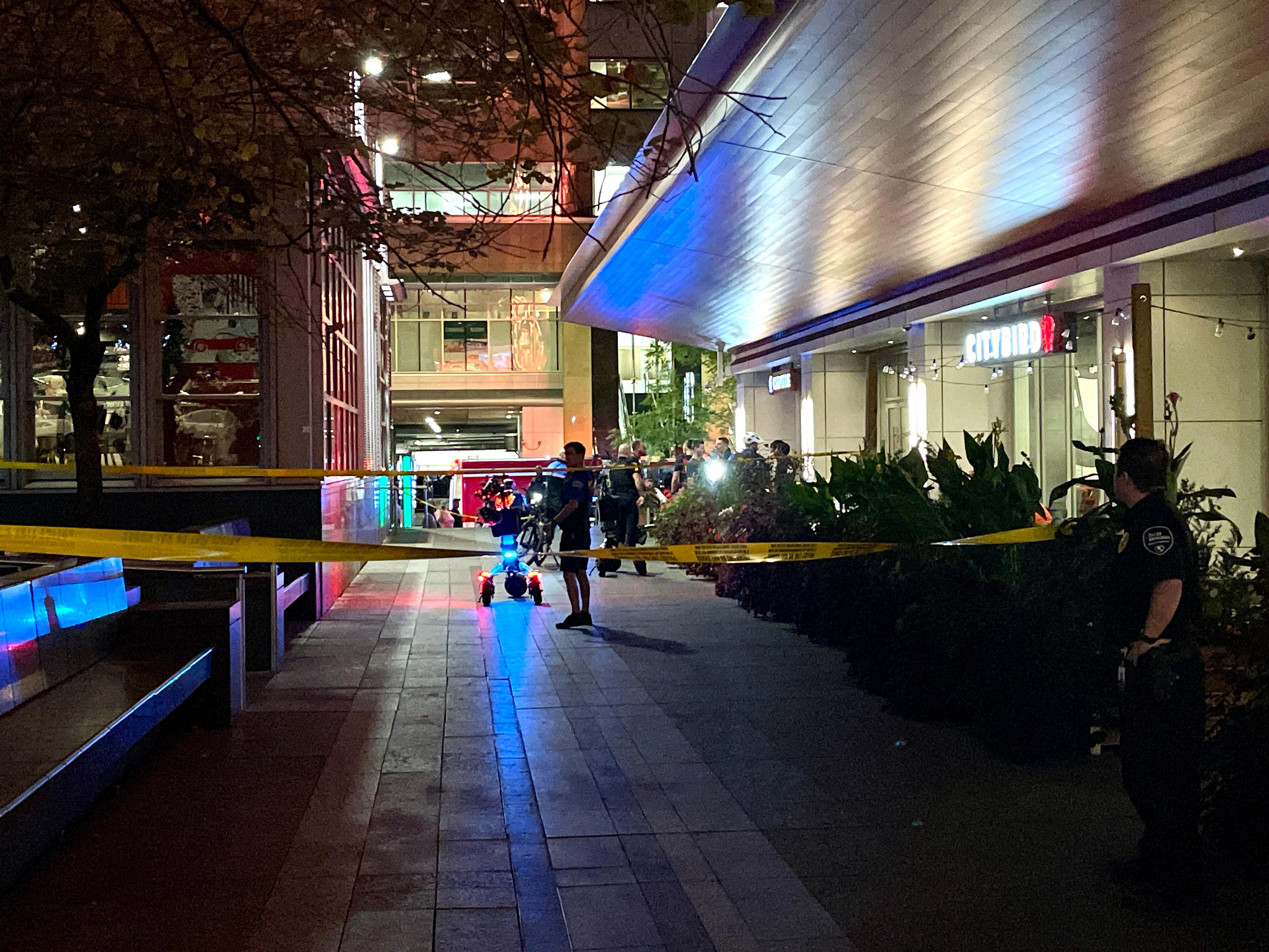 Teen seen on video burying gun was arrested after Fountain Square ...