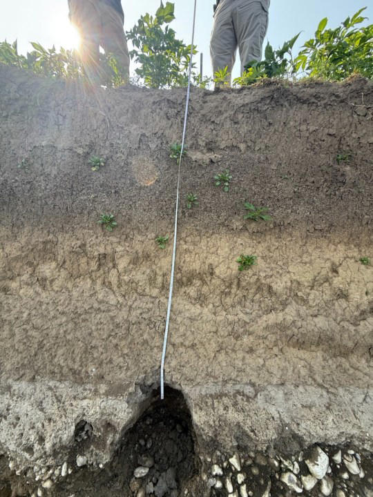 4,000-year-old human skull found along riverbank in Fayette County