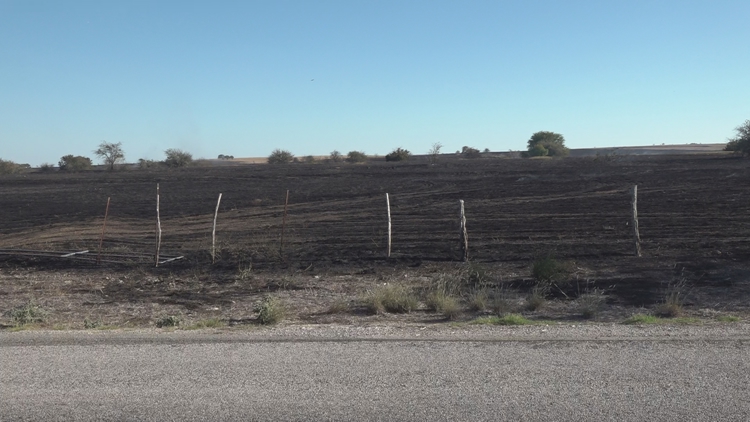 Criminal investigation opened into Salado wildfire