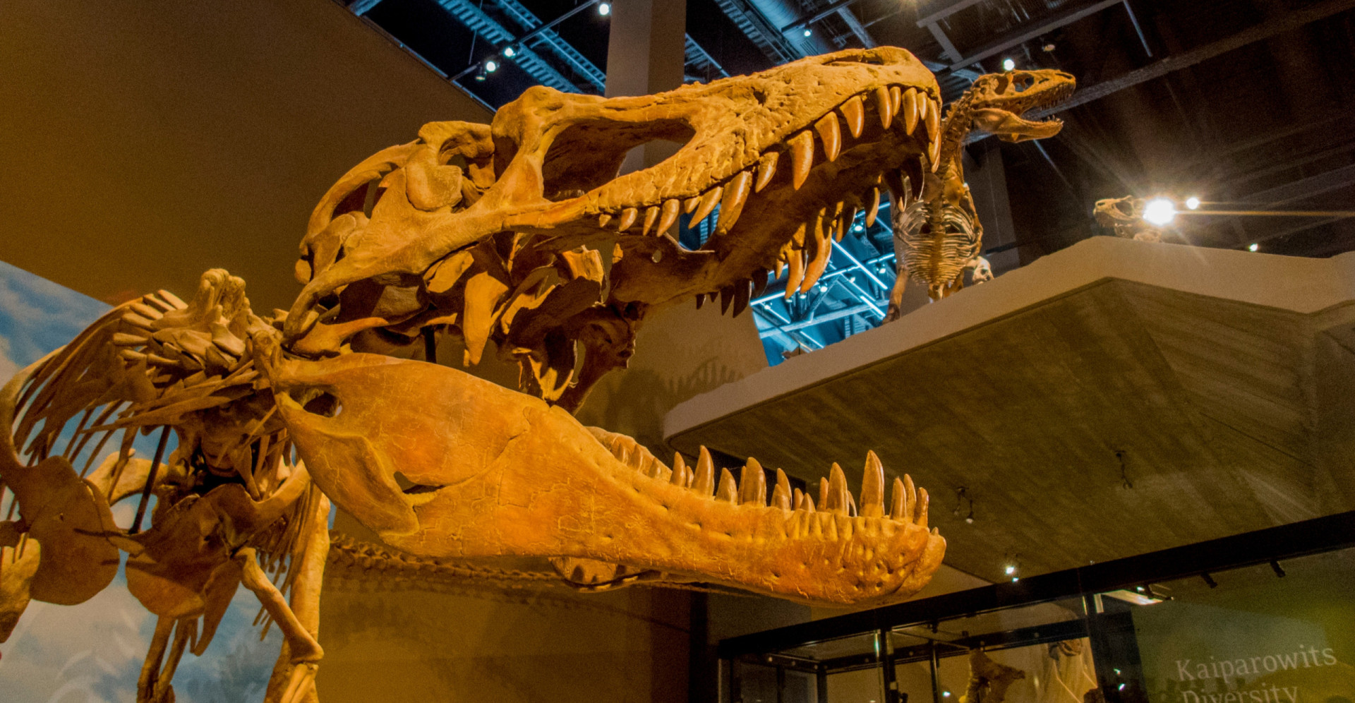 What science reveals about dinosaurs: facts and discoveries