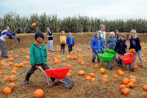 Cumbrian farm park in the running for two prestigious awards