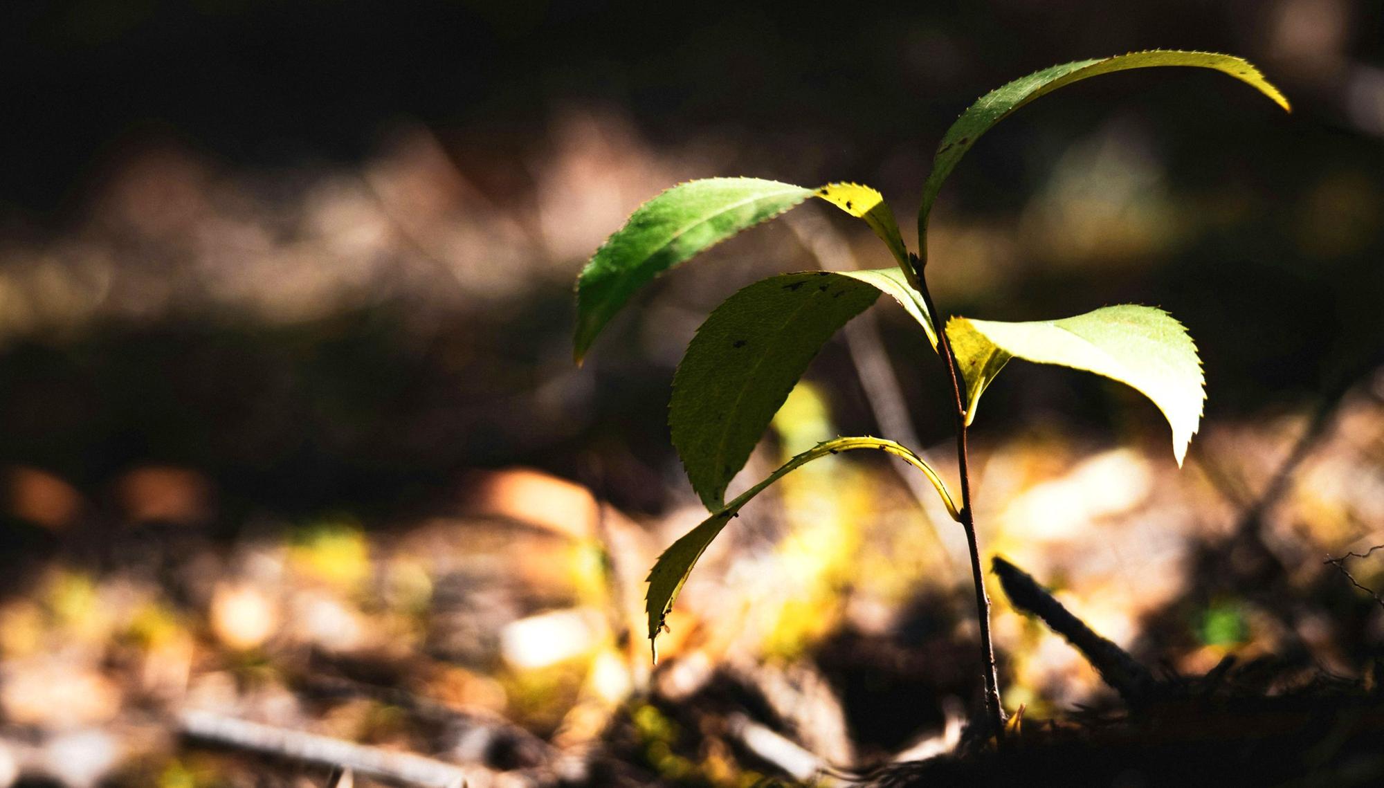 Faith Matters: Look in wonder at the created world