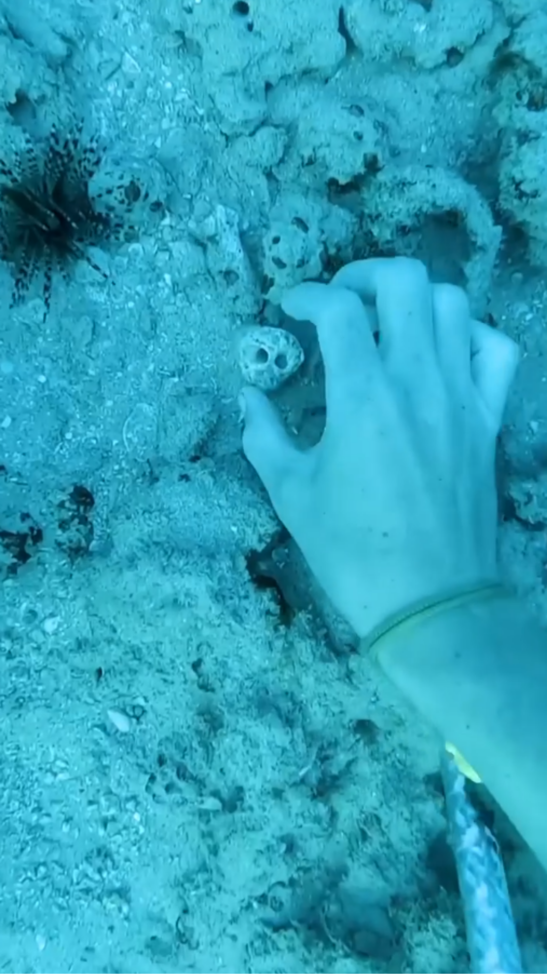 You Think This Rock I Found Is Cool, Right?