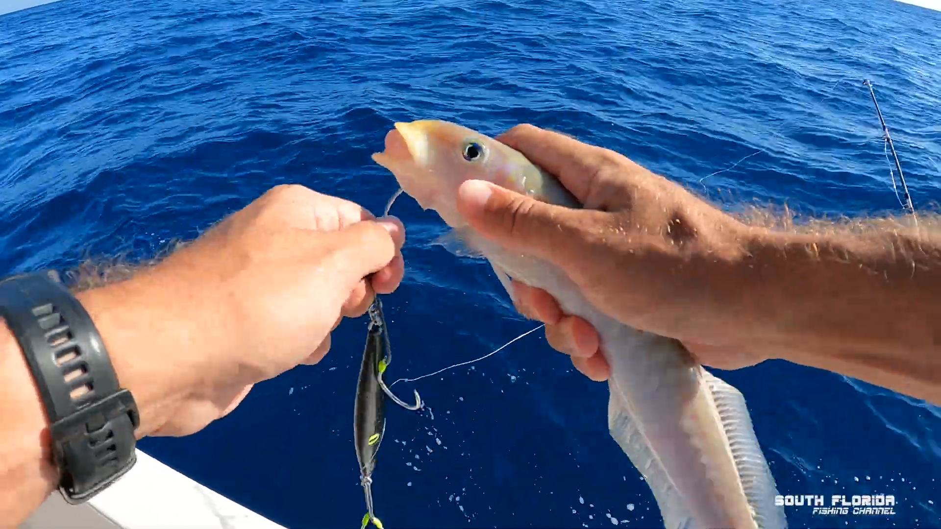 Catching live bait for wahoo in Key Largo’s crystal waters