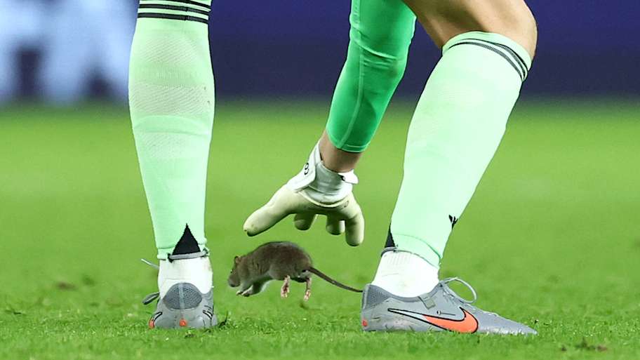 Real Madrid Star Forced Into Rat-Catching Role on International Duty