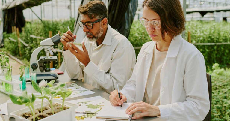 A Mysterious Detail in Photosynthesis Puzzled Scientists for Decades ...