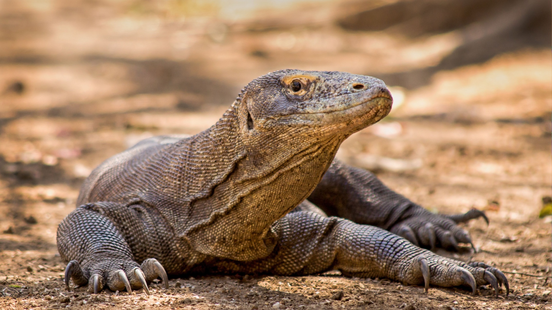 8 Species With Immune Systems Stronger Than Any Other Animal