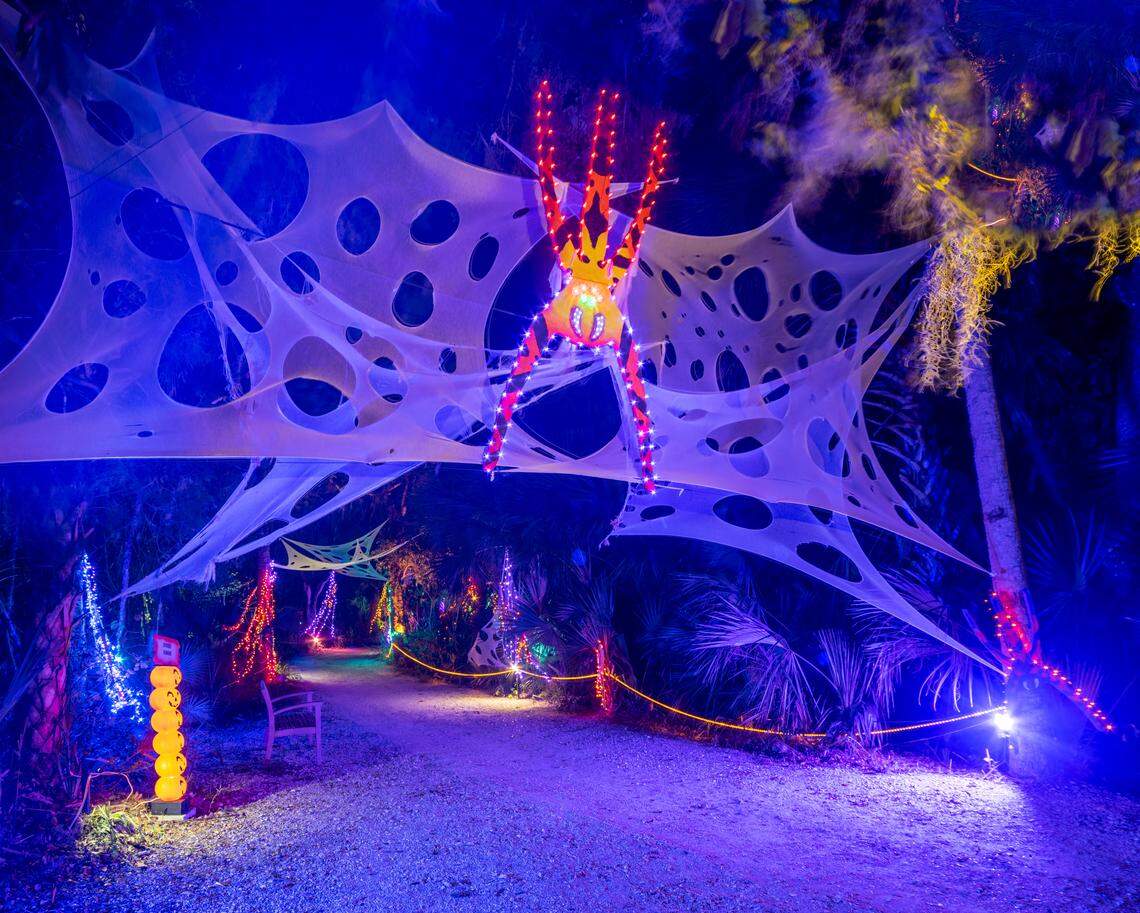 Halloween events 2025: Trick-or-treat, parties and more around Manatee ...