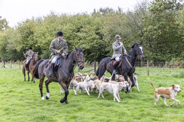 Hundreds gather for trail hunt demonstration to fight government's ...