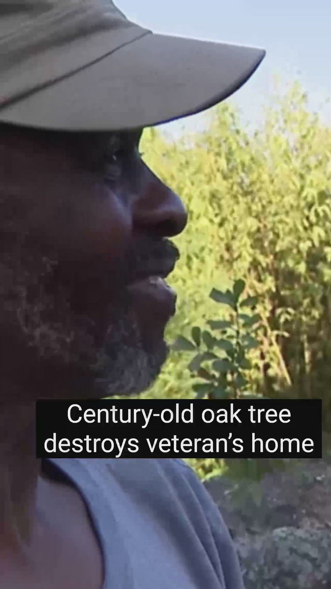 Century-old oak tree destroys U.S. Army veteran’s home.