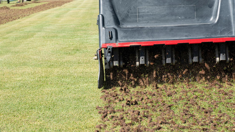 If Your Lawn Is Full Of Soil Plugs From Aerating, Here's What You Can Do
