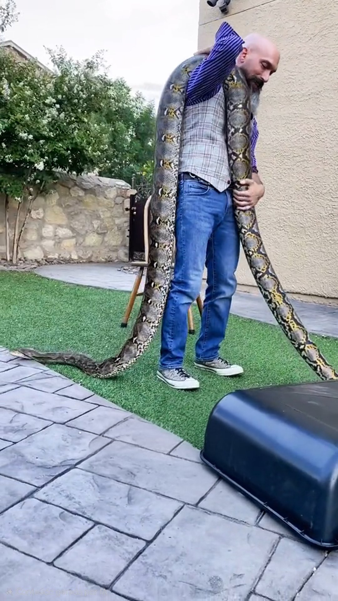 Woah! Jinx is a big girl, but such a sweetheart!