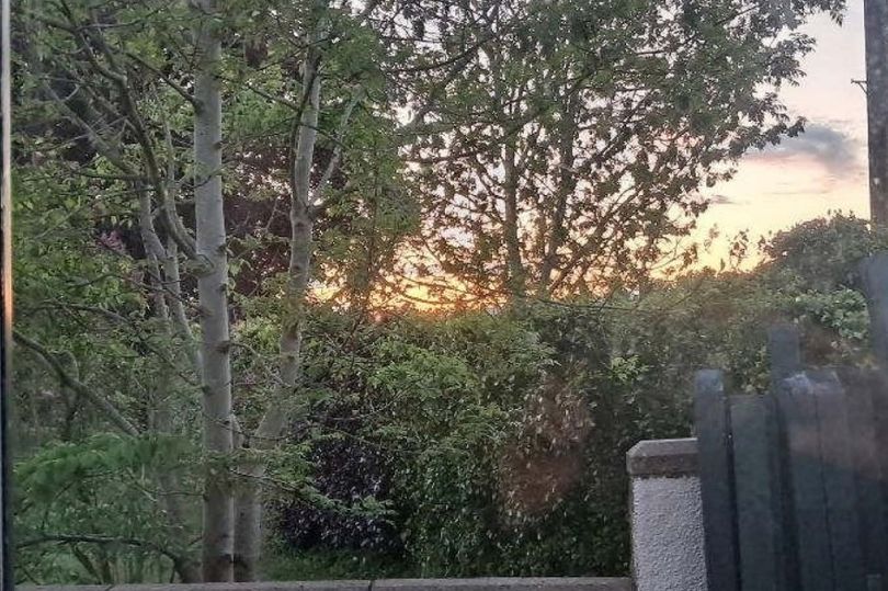 Couple in bitter 30-year feud with neighbours over trees take row to ...