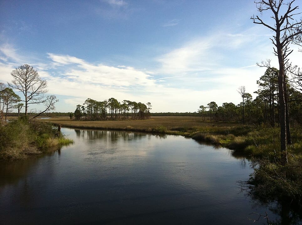 Florida’s Forgotten Coast: 14 Quiet Towns That Still Feel Wild and Real