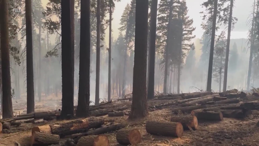 Rain in foothills stirs concerns over Garnet Fire burn scar