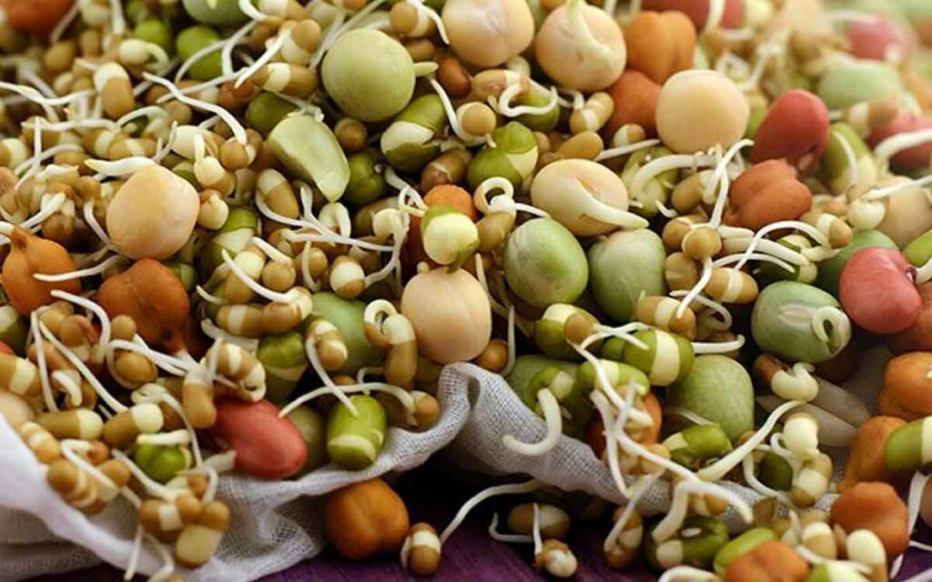 Sprouts | మొల‌క‌ల‌ను ఇంట్లోనే ఇలా సుల‌భంగా త‌యారు చేయండి.. వీటిని తినే ...
