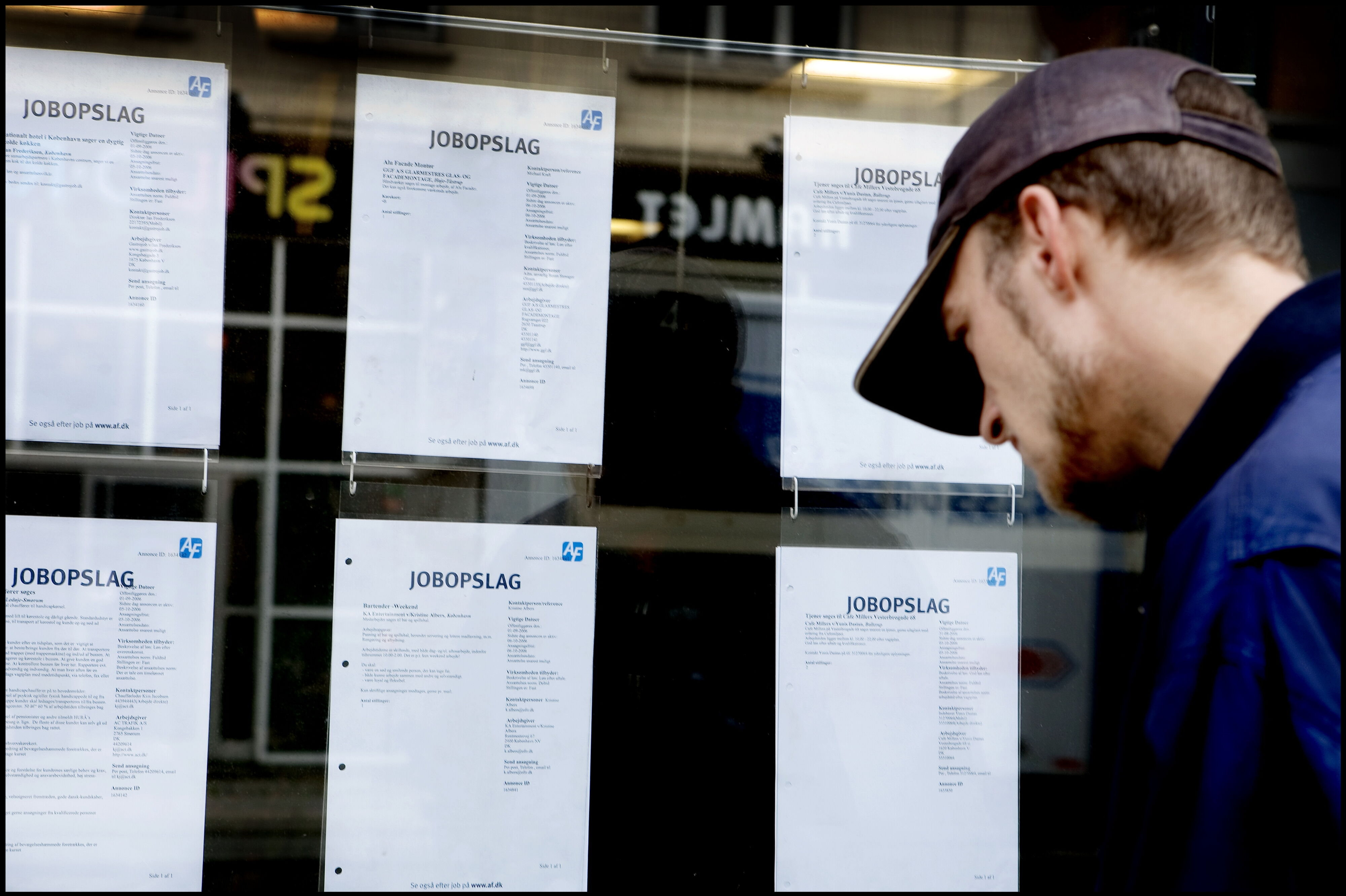 Antallet af jobopslag er fortsat til den høje side