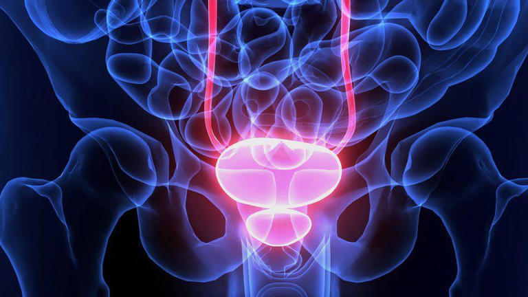 Prostate cancer symptoms and treatment: What to check for