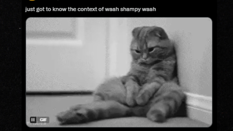 ‘Waah Shampy Waah’– New ‘Meme Material’ Splits Internet Over Its ‘Moral ...