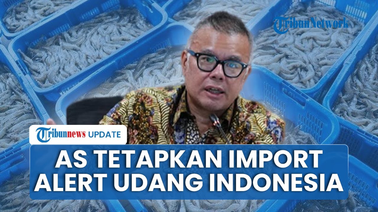 AS Tetapkan Import Alert untuk Udang Indonesia, Satgas: Bukan ...