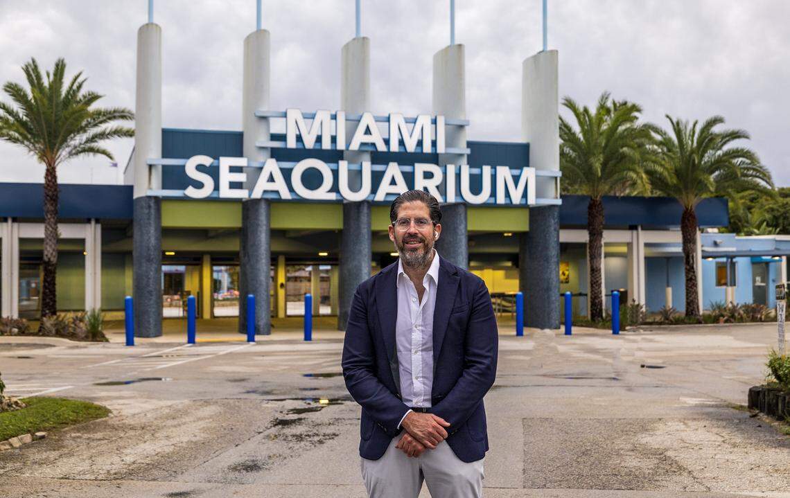 Where will the bankrupt Miami Seaquarium send its dolphins? Now we have ...