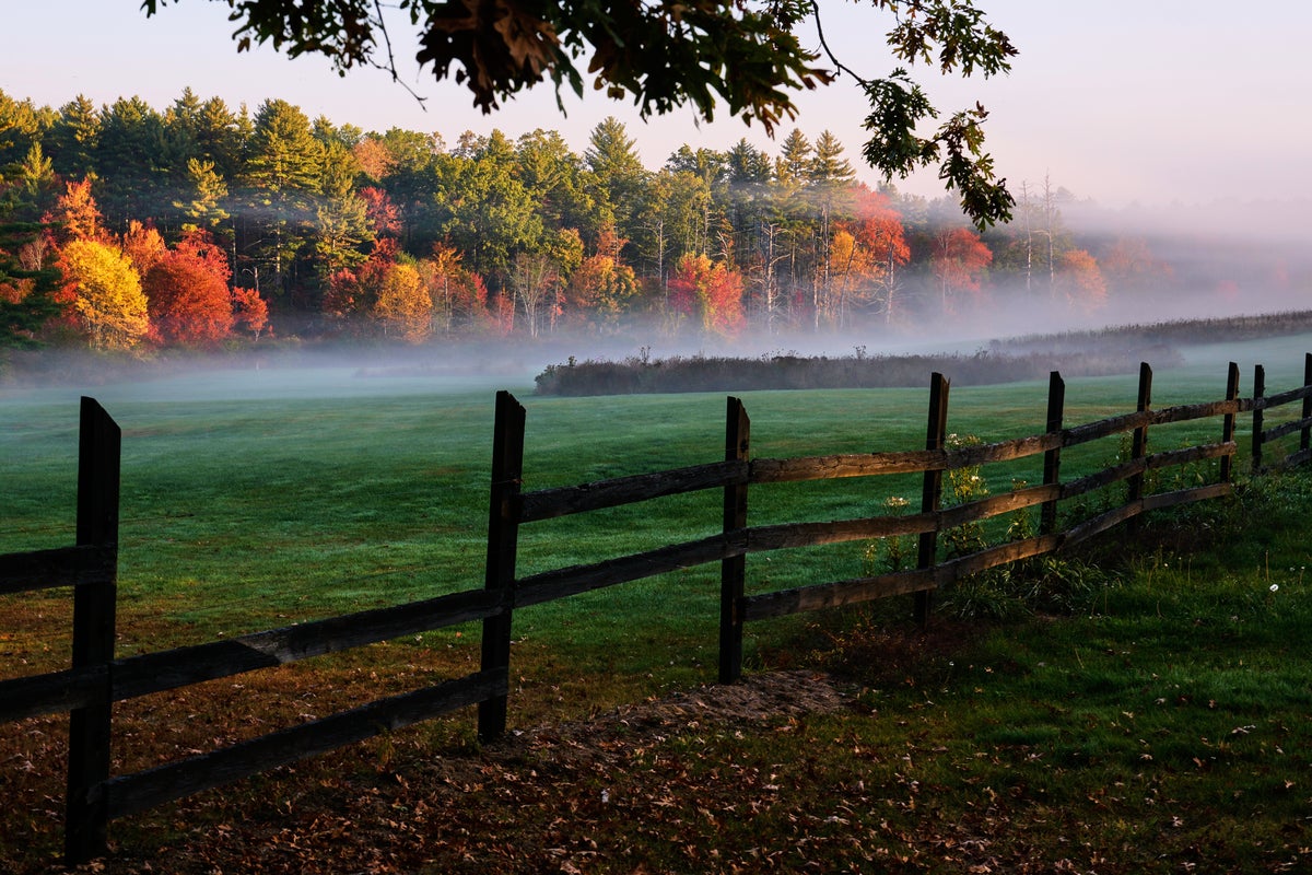 Leaf-peeping season has arrived. But this year’s showing may disappoint