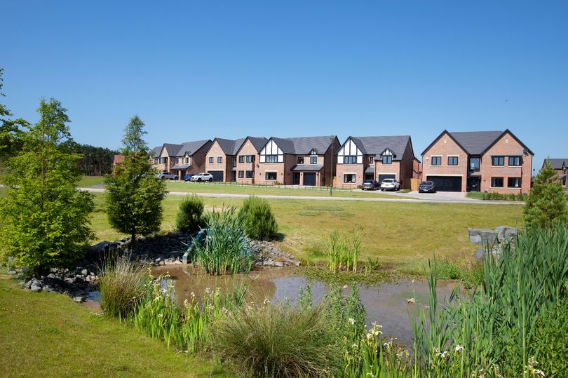 Bellway hails good performance as revenues rise but signals a slowing ...