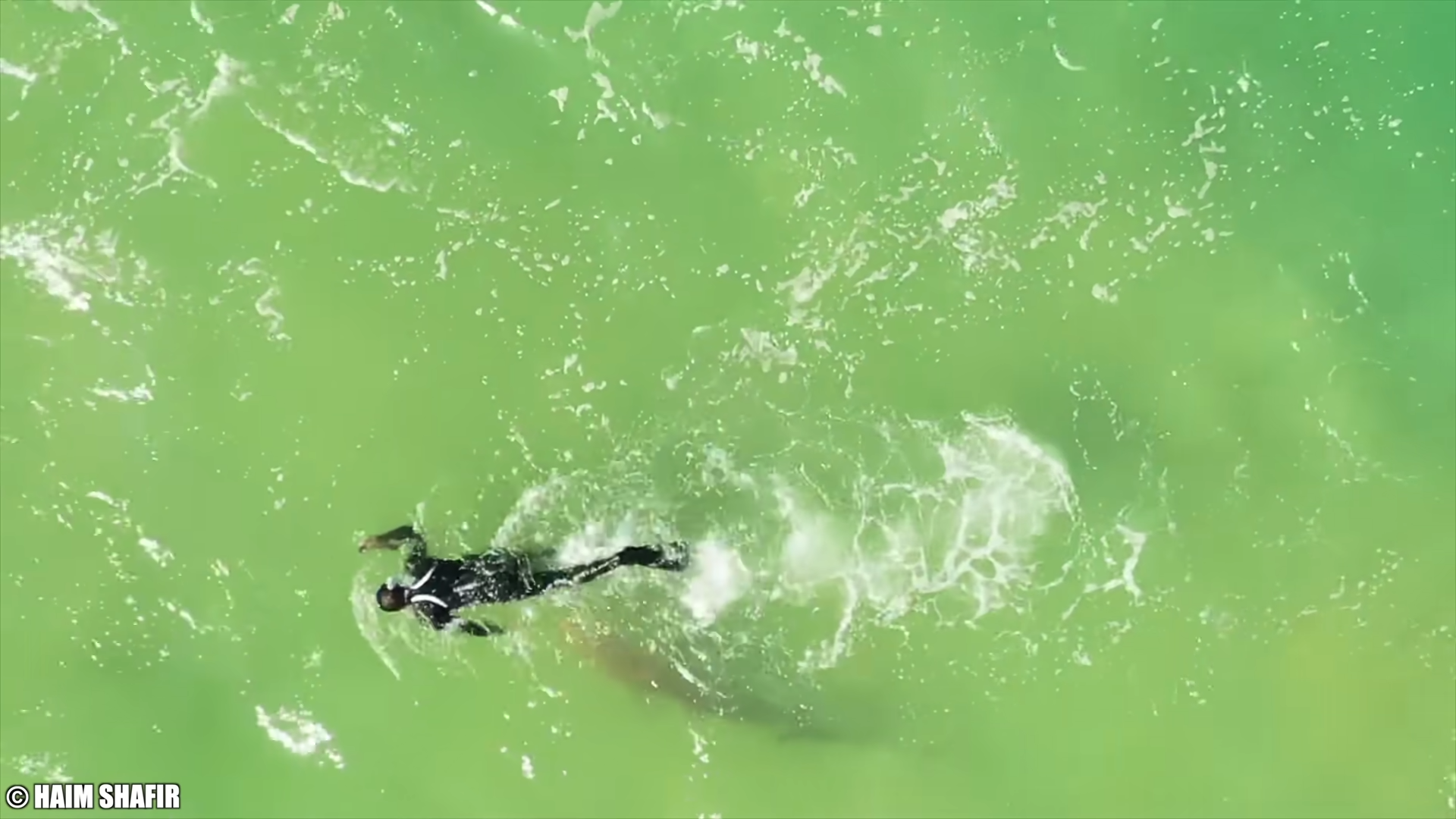 Hadera shark attack – shark scientist weighs in